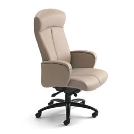 Ergonomic Office Chairs for Sale in St Louis County, MO